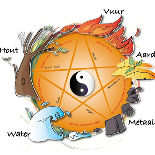 voeding volgens 5 elementen App